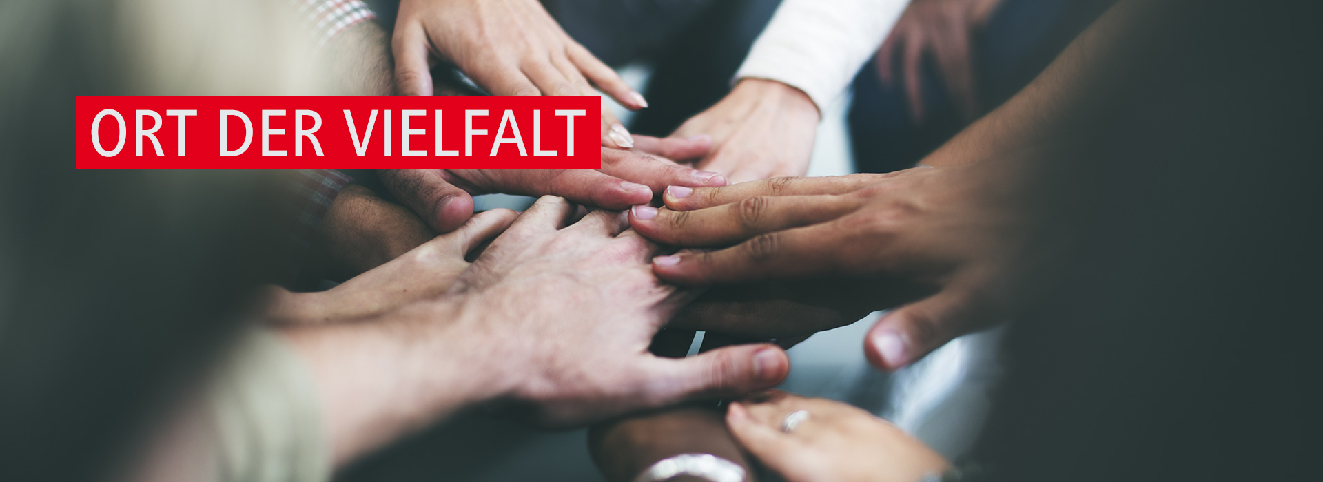 DHBW Mannheim – duale Bachelor-Studiengänge mit Praxisphasen im Unternehmen & Theorie am Campus ...